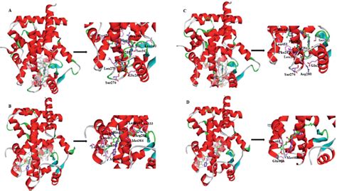 Views Of The Preferred Binding Modes Of Selected Compounds With The