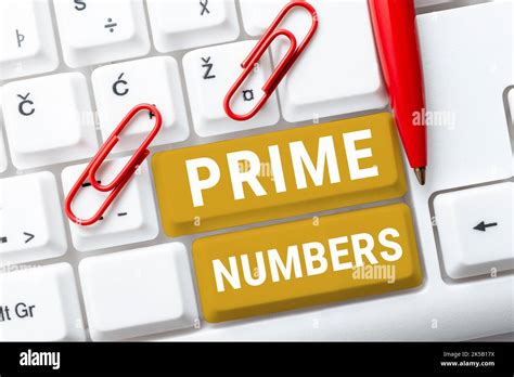 Text Caption Presenting Prime Numbers Word Written On A Positive