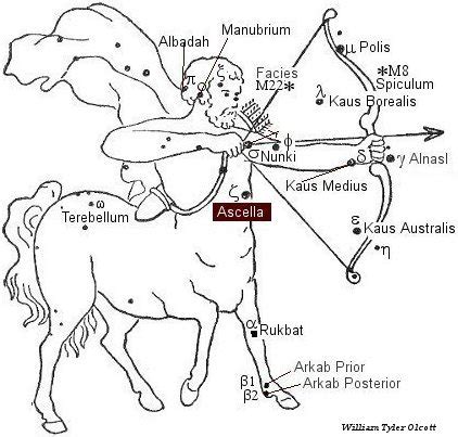 Ascella – Constellations of Words