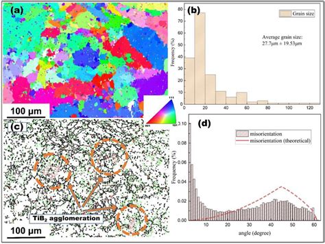 a the ebsd ipf image b the grain size distribution histogram of the