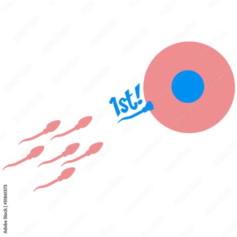First Seed Sex Pregnant Baby Mommy Ovum Boy Girl Sp Stock Illustration Adobe Stock
