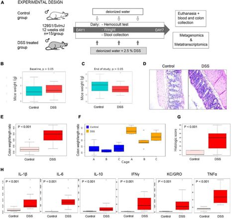 Metagenomics Versus Metatranscriptomics Of The Murine Gut Microbiome