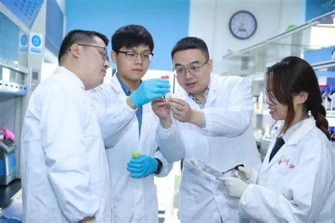 浙江大学顾臻教授团队PNAS研制血糖响应智能胰岛素 胰高血糖素复合贴片 搜狐大视野 搜狐新闻
