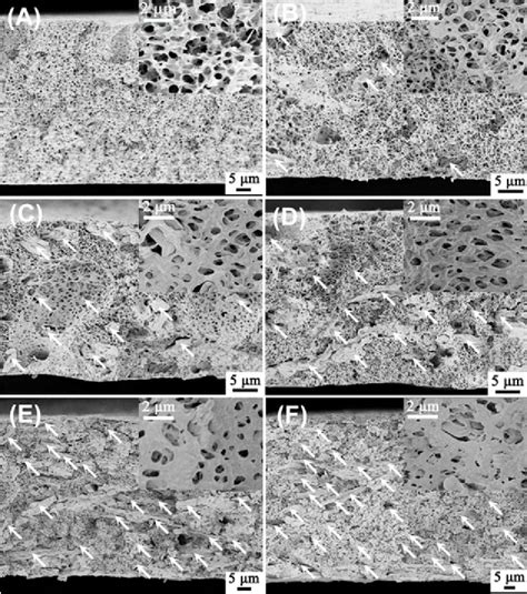 Figure 2 From Ordered Mesoporous Silica Polyvinylidene Fluoride
