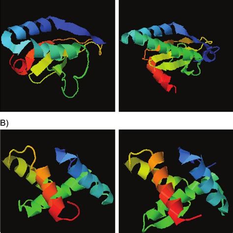 Protein Prediction Model Based On I Tasser A Left Rele Chro Ua159 Download Scientific