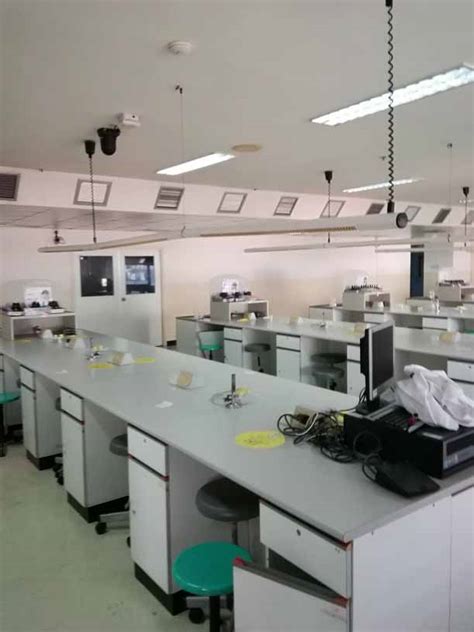 Lab Patho 03 
