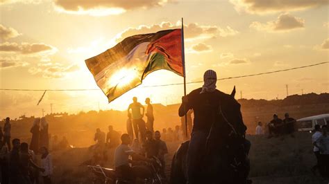 100 Palestine Backgrounds