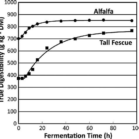 Relationship Between Rumen Degradable Protein And Protein Concentration Download Scientific