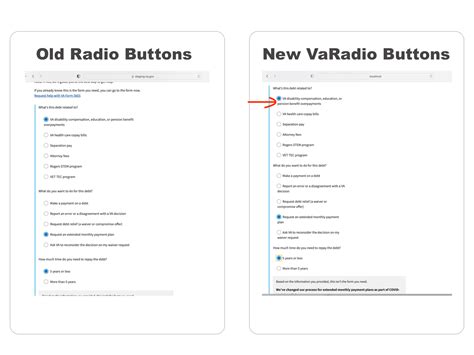 Radio Option Labels With Multiple Lines Are Not Wrapping Correctly · Issue 1527 · Department Of