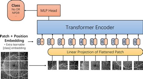 The Structure Of Vision Transformer Download Scientific Diagram