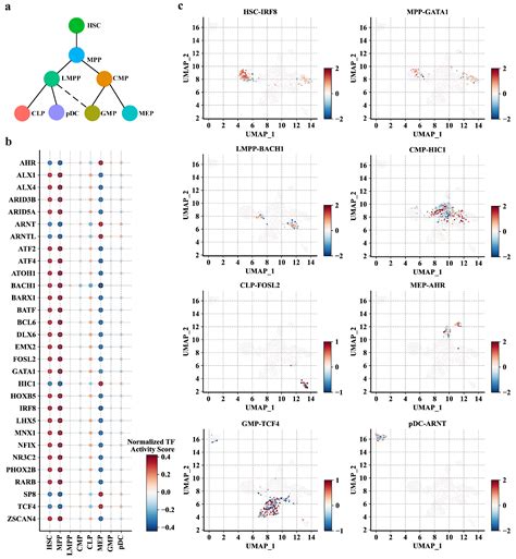 A Unified Deep Learning Framework For Single Cell Atac Seq Analysis Based On Proddep Transformer