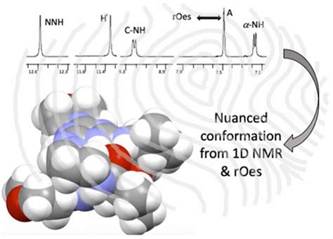 A Model For The Rapid Assessment Of Solution Structures For 24 Atom