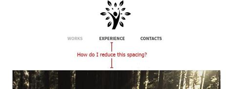 [help] reduce white space between menu and page content wordpress