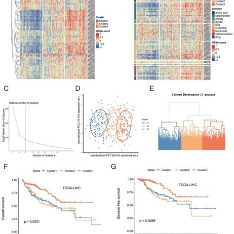 A Heatmap Of Metabolic Pathway Based Gsva Analysis In Tcga Lihc