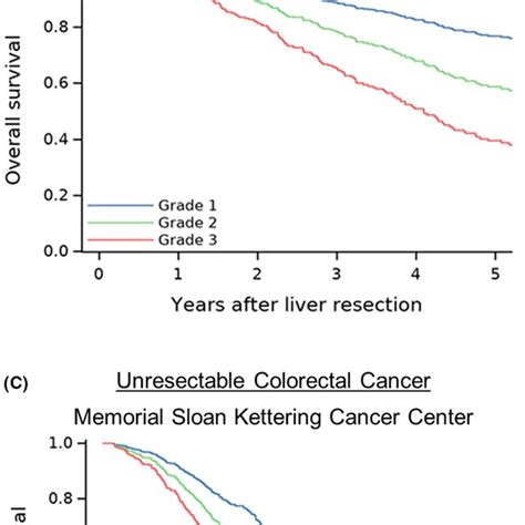 Pathway‐centric Risk Classification For Patients With Colorectal Liver
