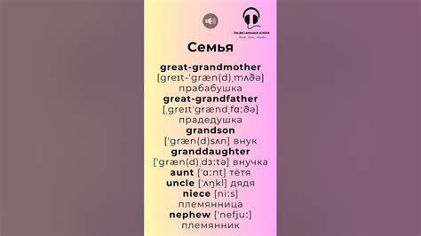 Английские слова на тему Семья Shorts Grammar English Words Youtube