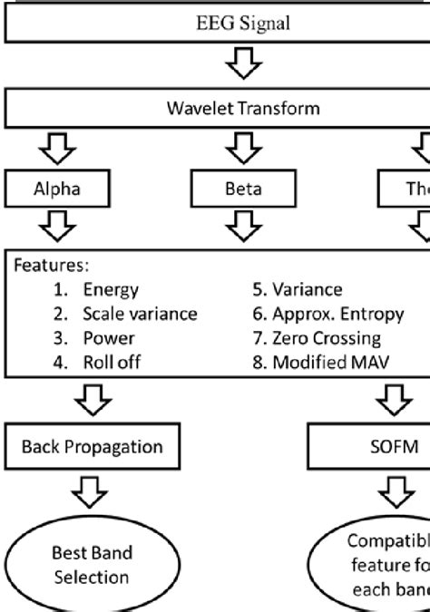 Block Diagram Of Proposed Methodology Download Scientific Diagram