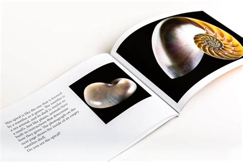 Growing Patterns Fibonacci Patterns In Nature Outdoor Learning School And Store