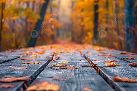 Picsart Background Hd Images Png Free - Infoupdate.org