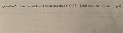 Solved Question 2 Draw The Structure Of The Dinucleotide