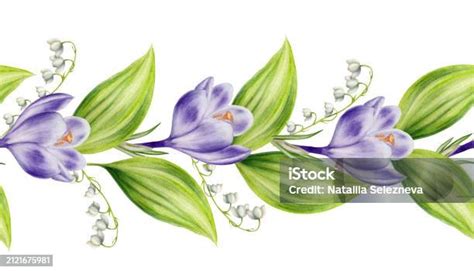 수채화 보라색 피는 크로커스 꽃과 잎 백합 배경에 고립 된 계곡의 꽃다발과 함께 원활한 테두리 봄과 부활절 식물 템플릿 배너 손으로 그린 사프란 그림입니다 디자이너 결혼식