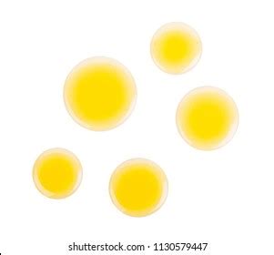 Sweet Honey Drop Isolated On White Stock Photo (Edit Now) 1033700551