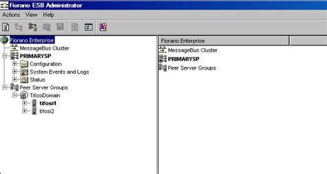 Esb Implementation Methodology Fiorano Esb Best Practices