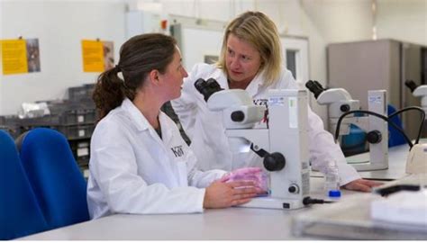 Royal Botanic Gardens Kew On Linkedin Leaddeveloper Kew Kewjobs