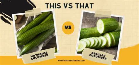 Hothouse Cucumber Vs Regular Cucumber 2026