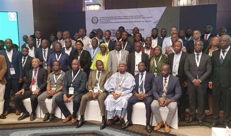 Electricity Security Expert Calls For Diversification Of Energy Sources Myjoyonline