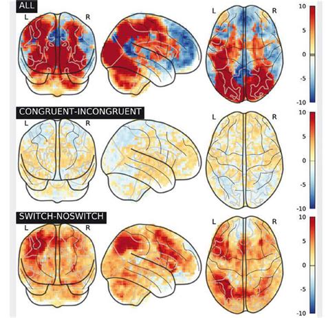 Task Switching Task Build A Brain Wiki