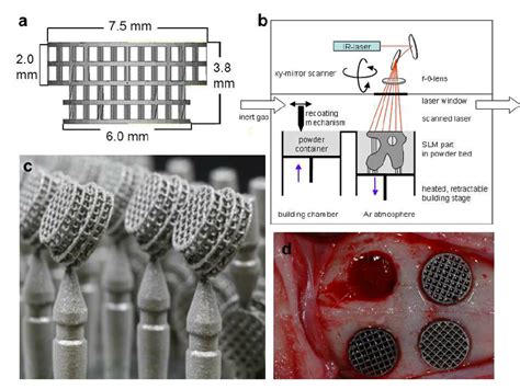 Selective Laser Melting Process