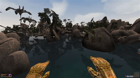 help installed tamriel rebuilt on openmw and this bit of the map seems