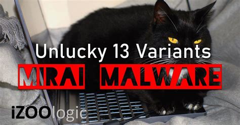 malware variant targeting routers and iot devices malware protection