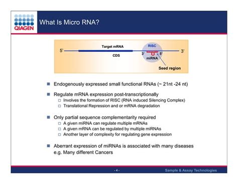 Mi Rna Assays 2012 Pdf