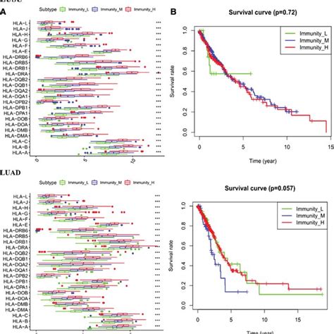 Comparison Of Hla Gene Expression Levels And Survival Prognosis Among