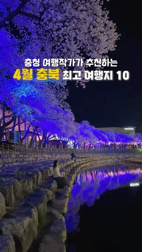 딸기우유 홍매화 드디어 활짝 충청권 딸기우유 구매를 볼 수 있는 곳이 바로 아산 현충사 드디어 만개했습니다 특히나 홍매화의