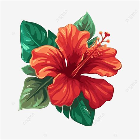 열대 꽃 벡터 흰색 배경 만화에 야생 히비스커스 꽃의 스티커 클립 아트 그림 상표 클립 아트 Png 일러스트 및 벡터 에 대한 무료 다운로드 Pngtree