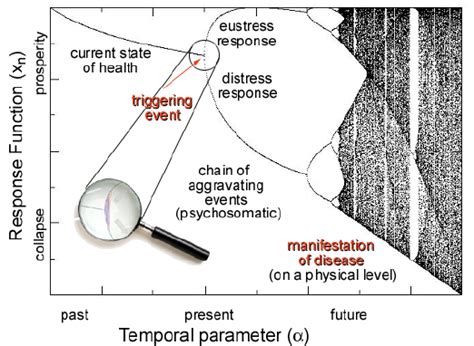 Bifurcation Patterns Between Health And Disease In Case Of Brief