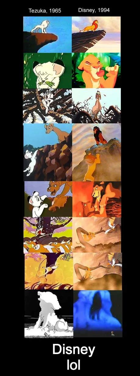 Lion King Dundalk Memes