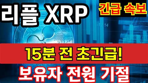 리플 이제 시작합니다안전벨트 꽉 매주세요 Youtube