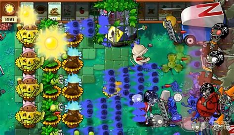 植物大战僵尸杂交版小猫向日葵介绍 植物大战僵尸杂交版小猫向日葵用法分享交易猫