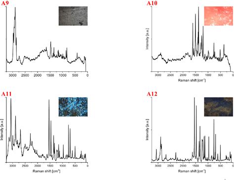 Figure 2 From The Raman Spectroscopy Approach To Different Freshwater