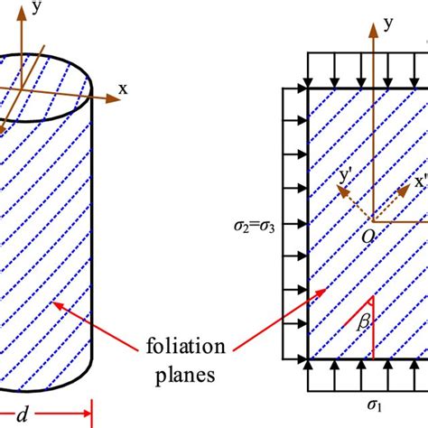 Size Effect And Anisotropy In A Transversely Isotropic Rock Under