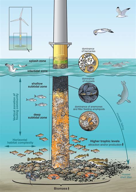 Offshore Wind Farm Artificial Reefs Affect Ecosystem Structure And Functioning A Synthesis