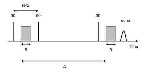 2 A Diagram For The Stimulated Echo Sequence The First 90° Rf Pulse