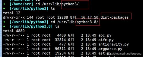 pip指定包的安装路径 pip指定安装路径 csdn博客