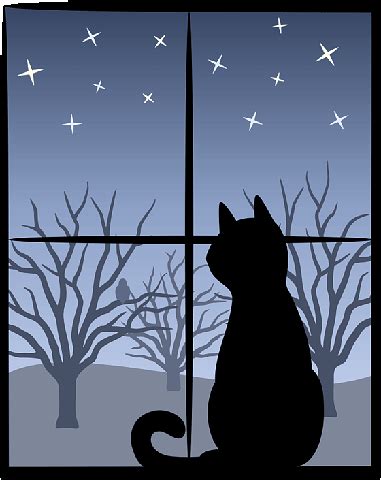 80 Free Scratch Cat Cat Animated GIFs And Stickers Pixabay