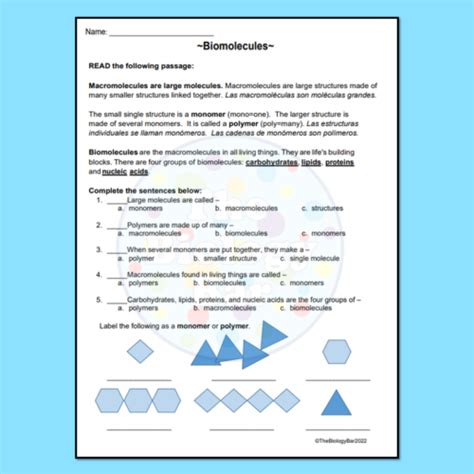 Esl Biology Biomolecule Worksheet And Review With Digital Option