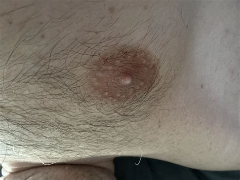 Lick My Nipples Pics Xhamster